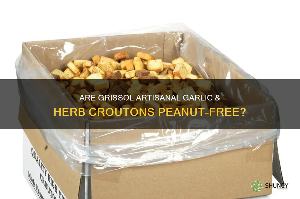 Are Grissol Artisanal Garlic & Herb Croutons Peanut-Free? | ShunCy
