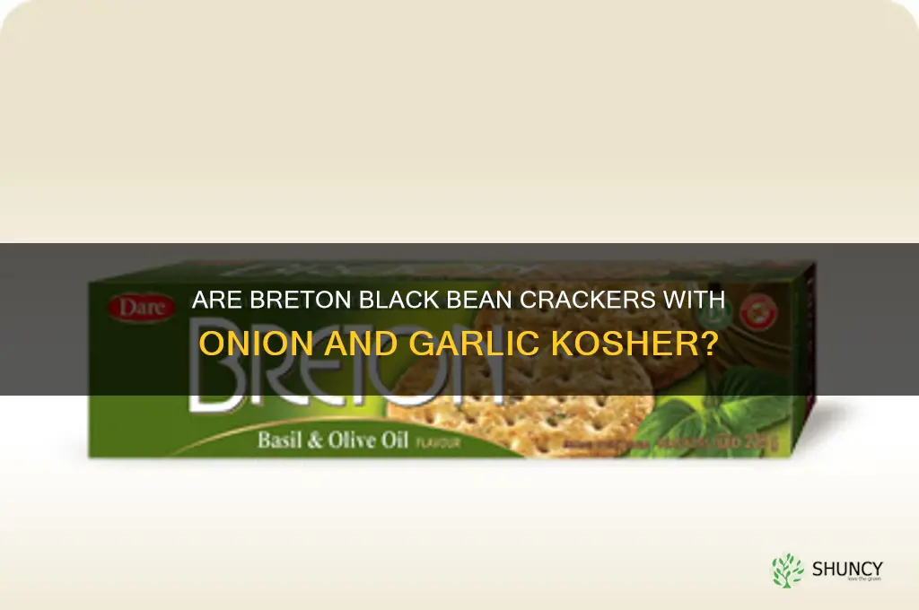 Are Breton Black Bean Crackers With Onion And Garlic Kosher? | ShunCy
