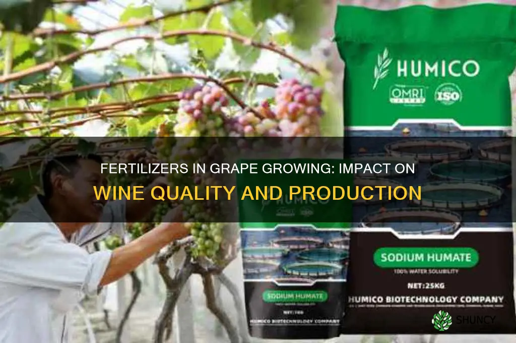 Fertilizers In Grape Growing: Impact On Wine Quality And Production ...