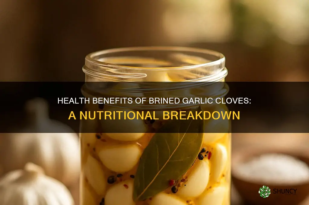 Health Benefits Of Brined Garlic Cloves: A Nutritional Breakdown | ShunCy