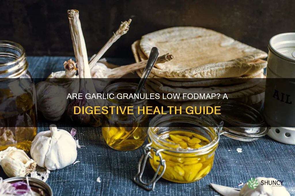 Are Garlic Granules Low Fodmap? A Digestive Health Guide | ShunCy
