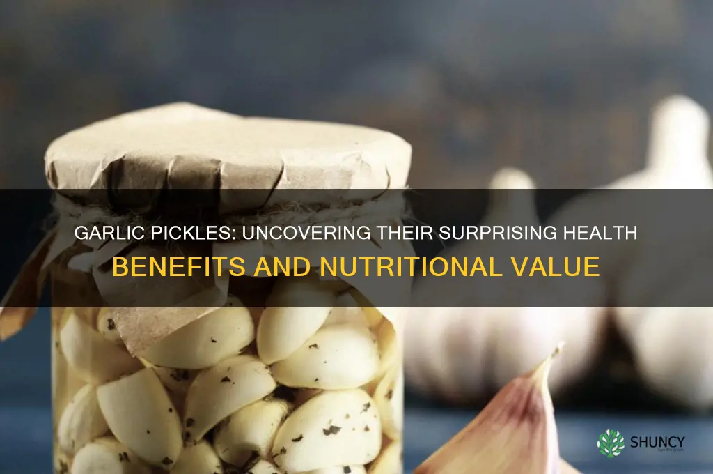 Garlic Pickles: Uncovering Their Surprising Health Benefits And ...