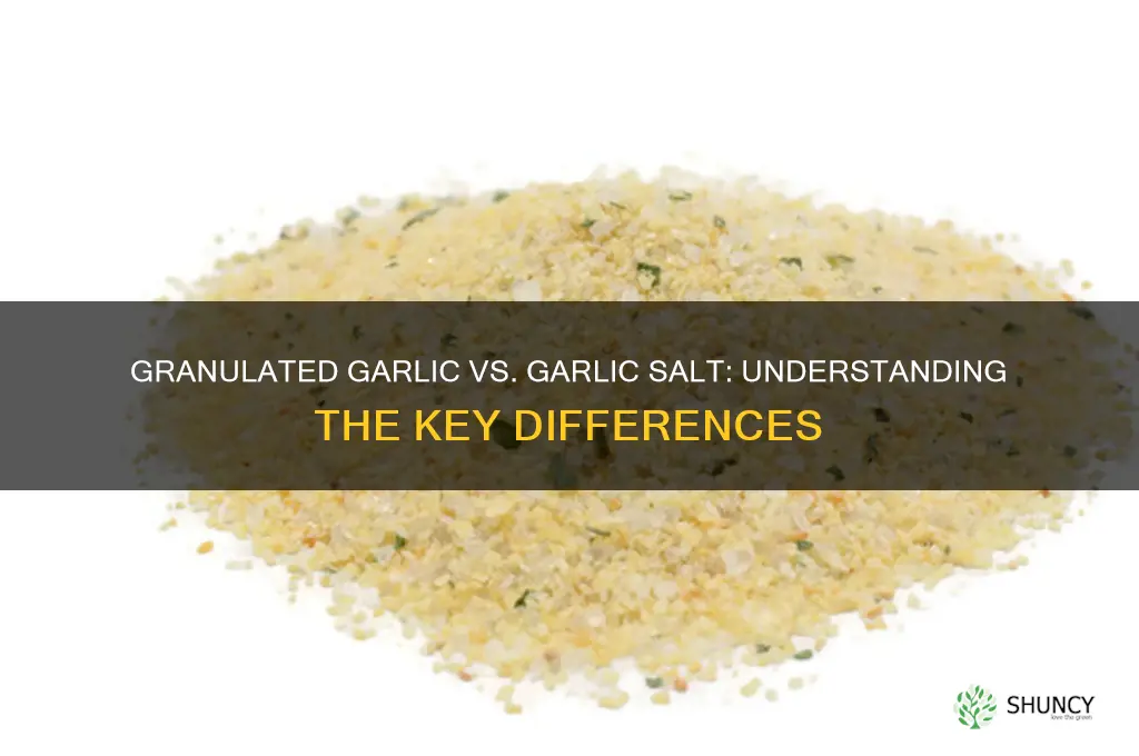 Granulated Garlic Vs. Garlic Salt: Understanding The Key Differences ...