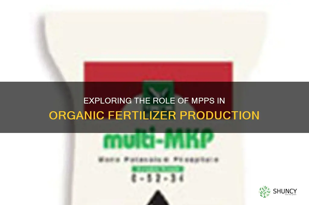 Exploring The Role Of Mpps In Organic Fertilizer Production | ShunCy
