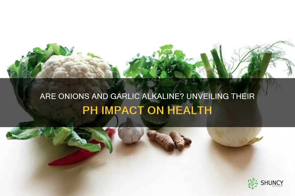 Are Onions And Garlic Alkaline? Unveiling Their Ph Impact On Health ...