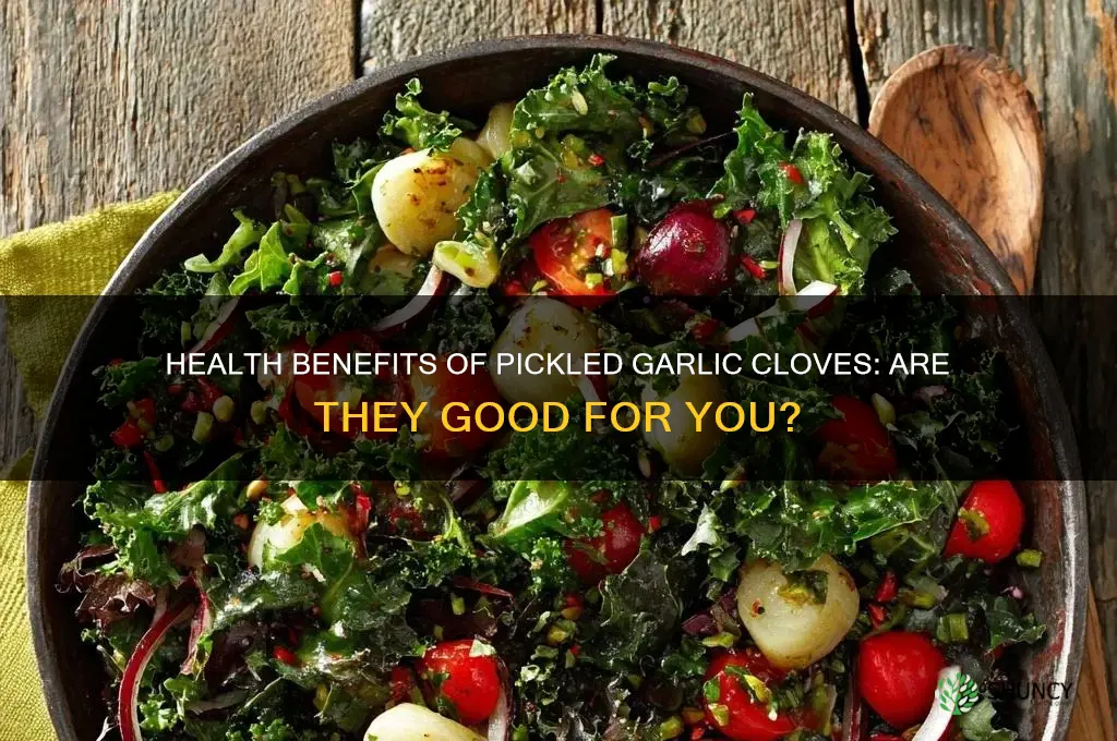 Health Benefits Of Pickled Garlic Cloves: Are They Good For You? | ShunCy