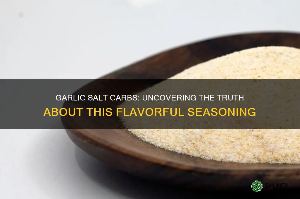 Garlic Salt Carbs: Uncovering The Truth About This Flavorful Seasoning ...