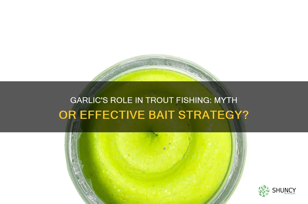 Garlic's Role In Trout Fishing: Myth Or Effective Bait Strategy? | ShunCy