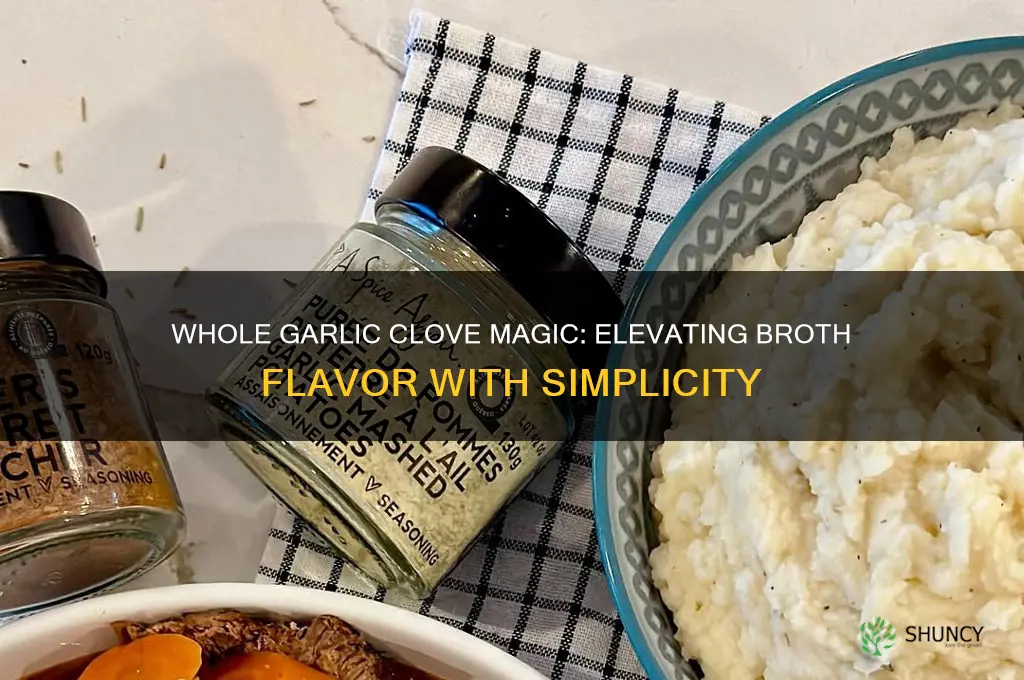 Whole Garlic Clove Magic: Elevating Broth Flavor With Simplicity | ShunCy