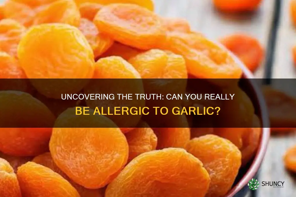 Uncovering The Truth: Can You Really Be Allergic To Garlic? | ShunCy