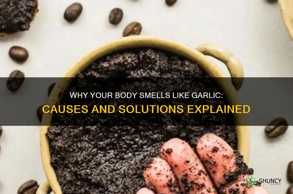Why Your Body Smells Like Garlic: Causes And Solutions Explained | ShunCy