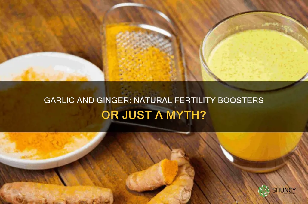 Garlic And Ginger: Natural Fertility Boosters Or Just A Myth? | ShunCy
