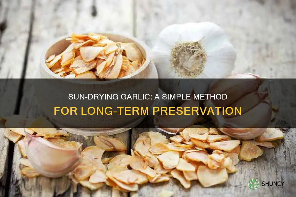 Sun-Drying Garlic: A Simple Method For Long-Term Preservation | ShunCy