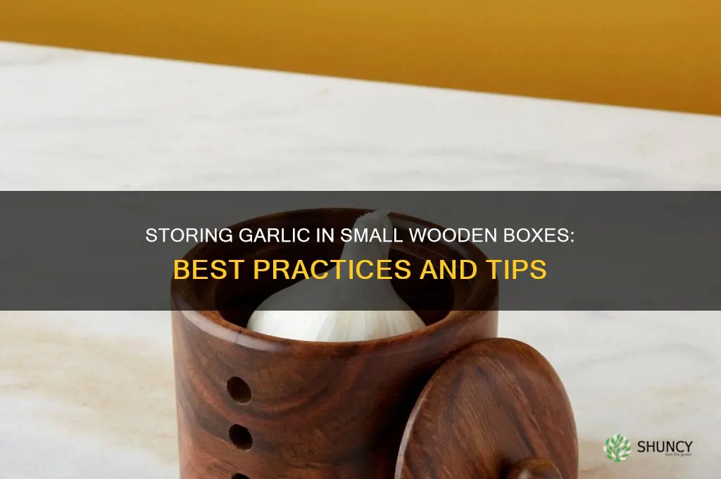 Storing Garlic In Small Wooden Boxes: Best Practices And Tips | ShunCy