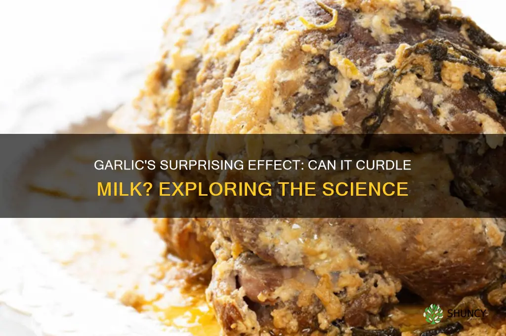 Garlic's Surprising Effect: Can It Curdle Milk? Exploring The Science ...