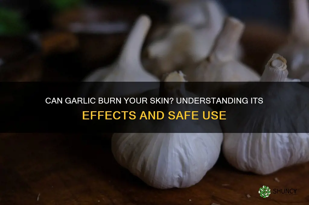 Can Garlic Burn Your Skin? Understanding Its Effects And Safe Use | ShunCy