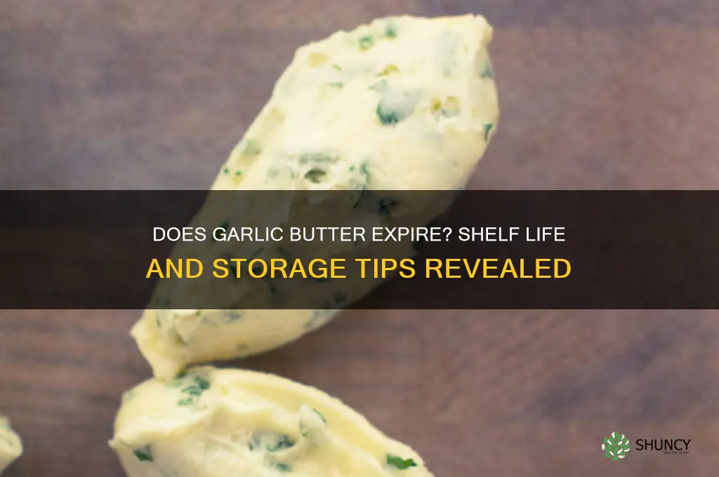 Does Garlic Butter Expire? Shelf Life And Storage Tips Revealed | ShunCy