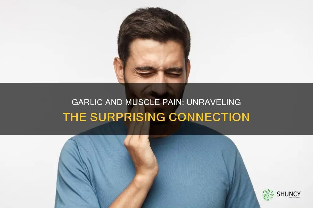 Garlic And Muscle Pain: Unraveling The Surprising Connection | ShunCy