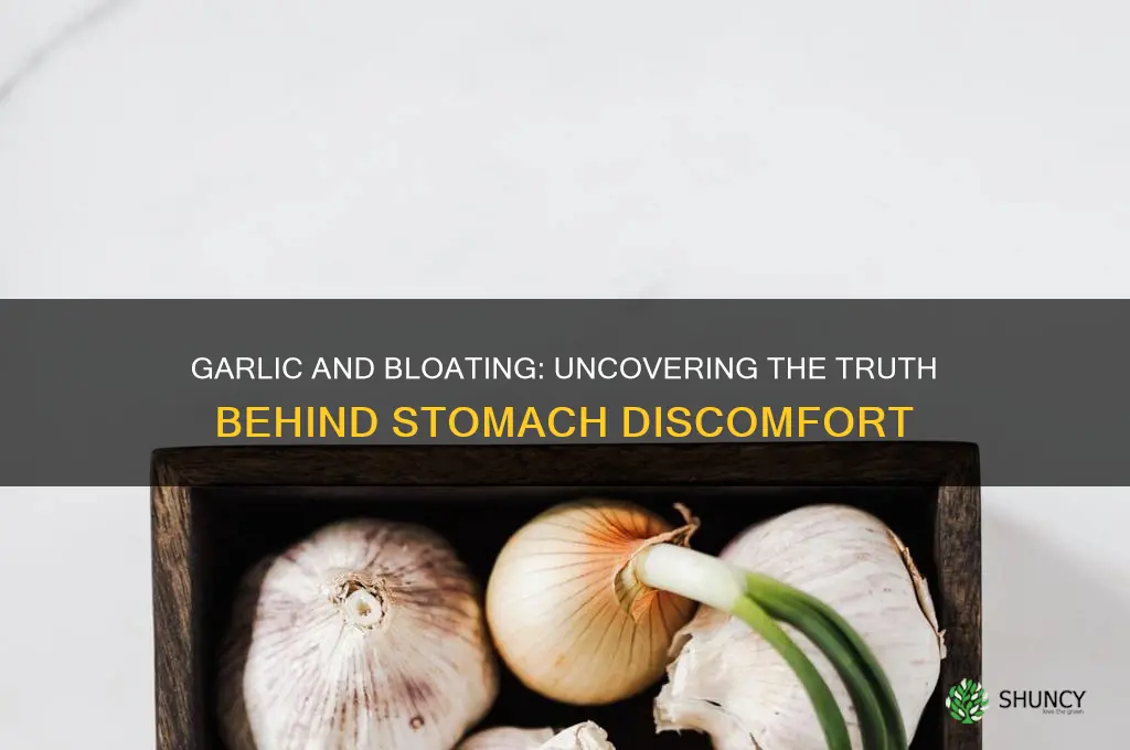 Garlic And Bloating: Uncovering The Truth Behind Stomach Discomfort ...