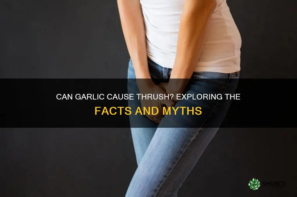 Can Garlic Cause Thrush? Exploring The Facts And Myths | ShunCy