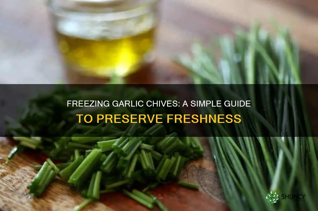 Freezing Garlic Chives: A Simple Guide To Preserve Freshness | ShunCy
