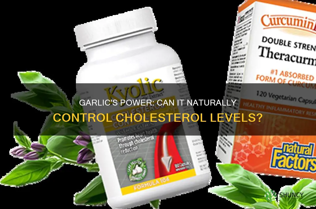Garlic's Power: Can It Naturally Control Cholesterol Levels? | ShunCy