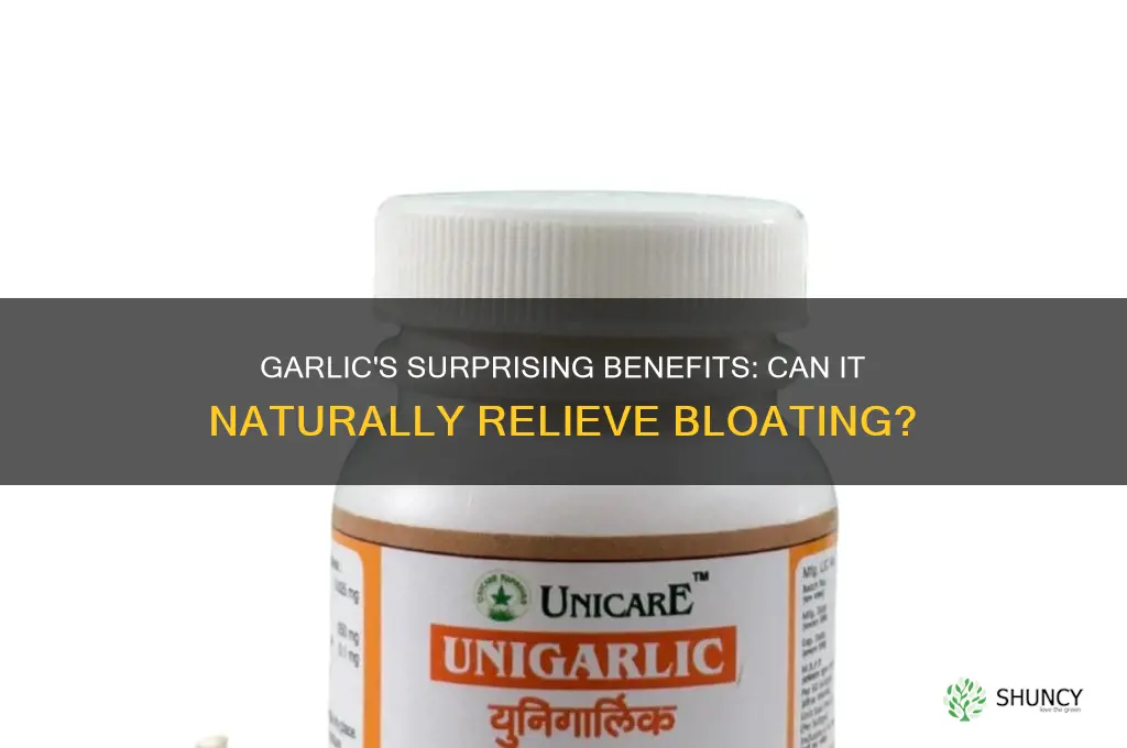 Garlic's Surprising Benefits: Can It Naturally Relieve Bloating? | ShunCy
