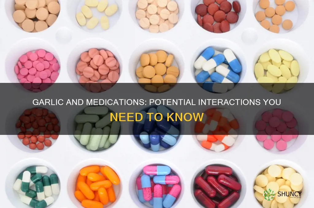 Garlic And Medications: Potential Interactions You Need To Know | ShunCy