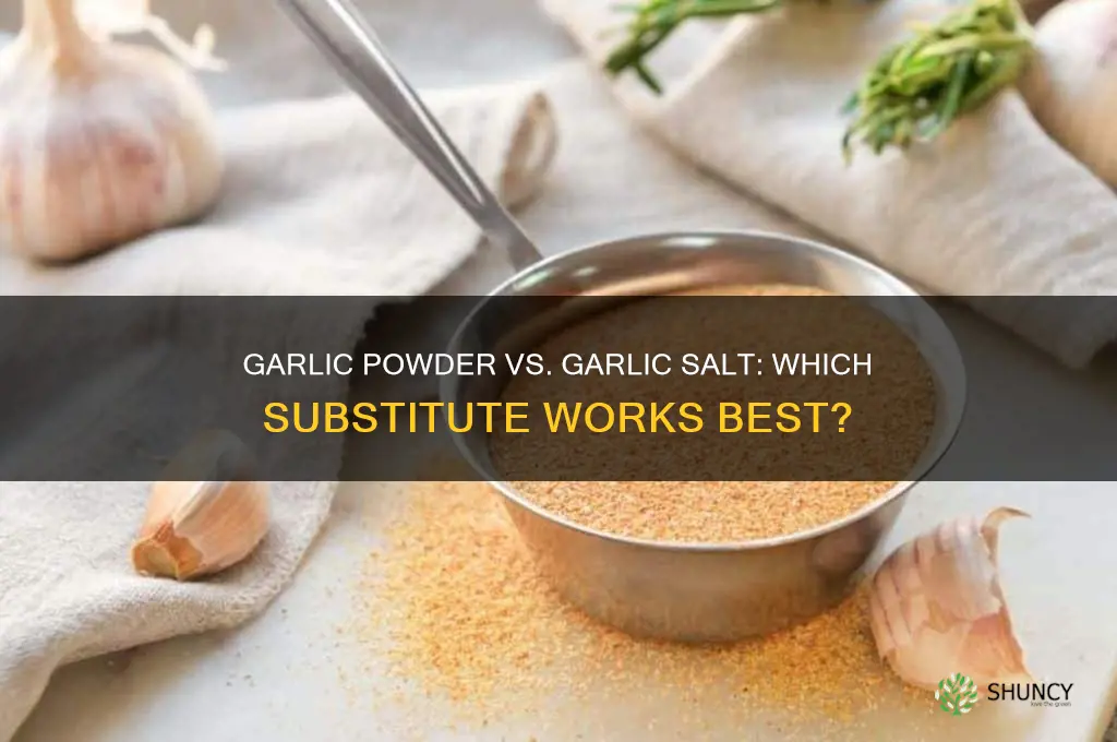Garlic Powder Vs. Garlic Salt: Which Substitute Works Best? | ShunCy