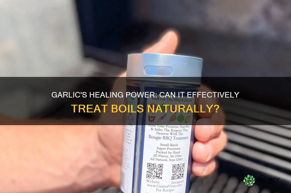 Garlic's Healing Power: Can It Effectively Treat Boils Naturally? | ShunCy