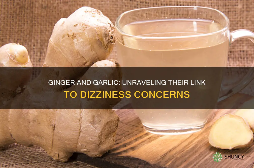 Ginger And Garlic: Unraveling Their Link To Dizziness Concerns | ShunCy