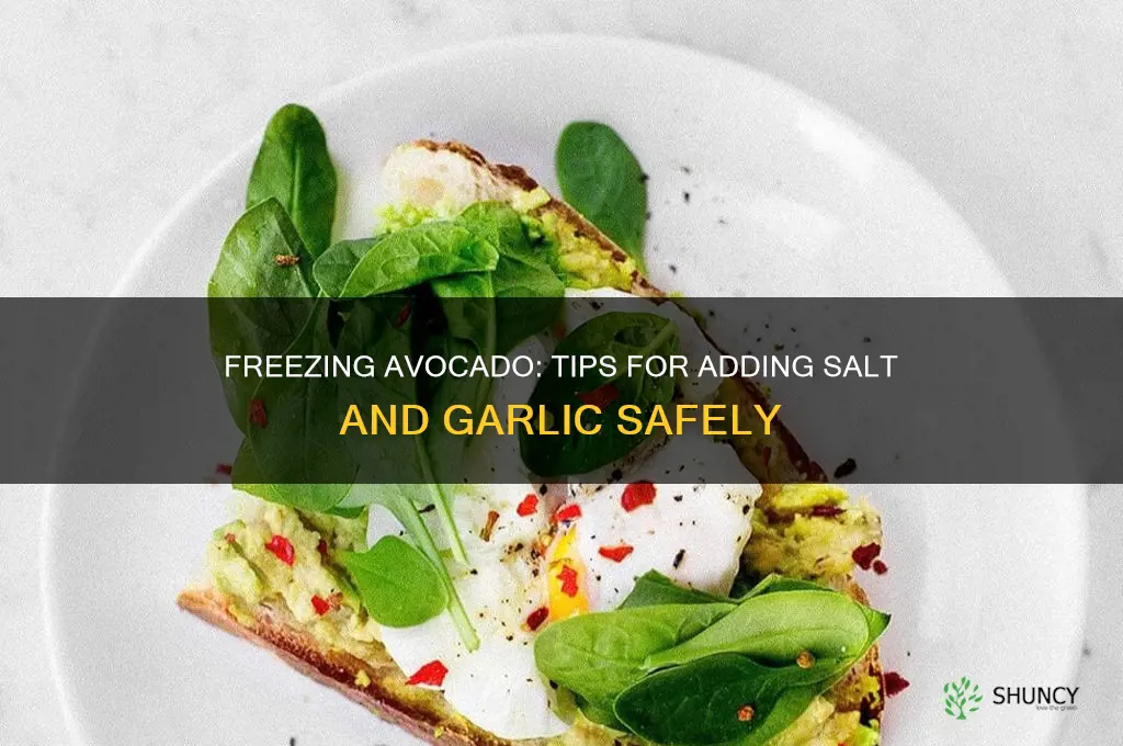 Freezing Avocado: Tips For Adding Salt And Garlic Safely | ShunCy