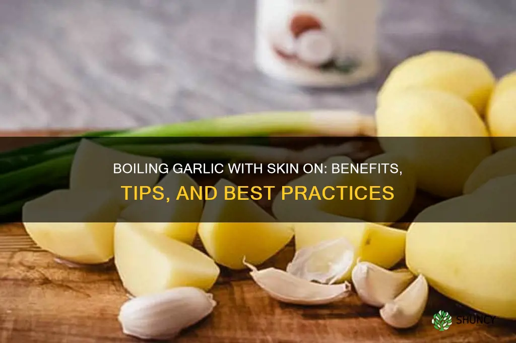 Boiling Garlic With Skin On: Benefits, Tips, And Best Practices | ShunCy