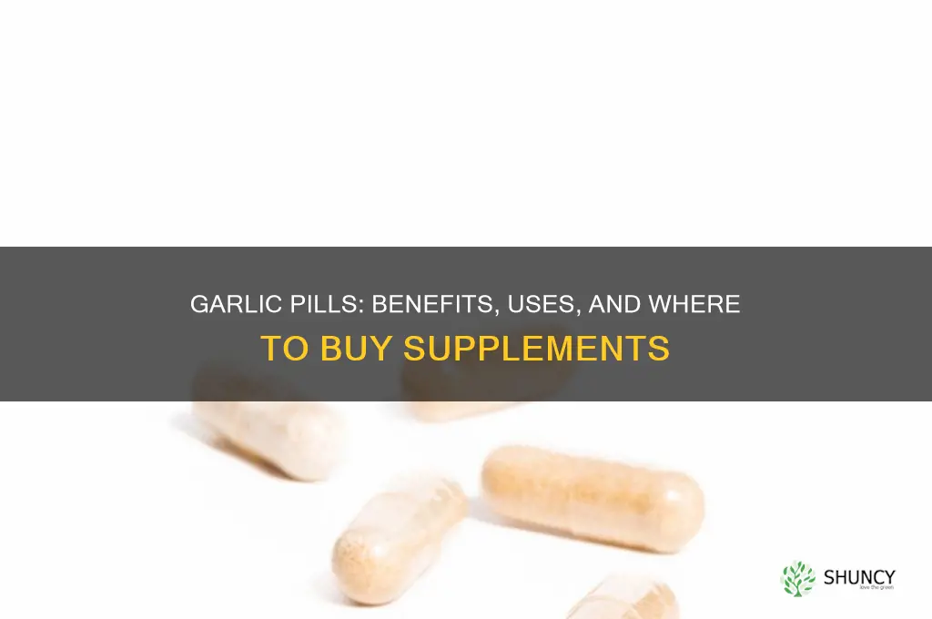 Garlic Pills: Benefits, Uses, And Where To Buy Supplements | ShunCy