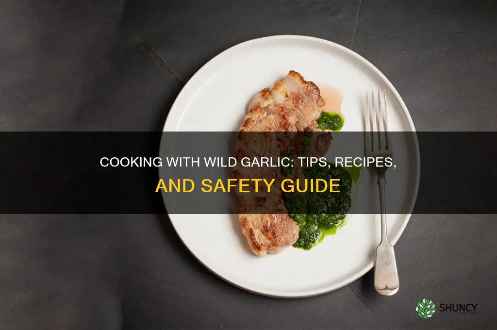 Cooking With Wild Garlic: Tips, Recipes, And Safety Guide | ShunCy