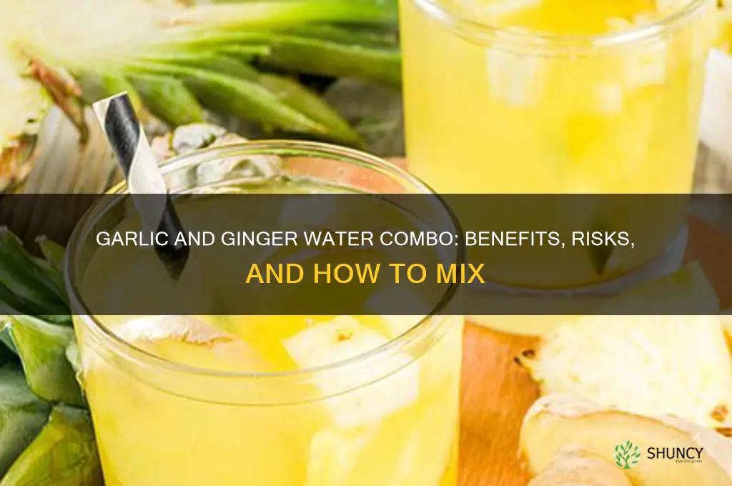 Garlic And Ginger Water Combo: Benefits, Risks, And How To Mix | ShunCy