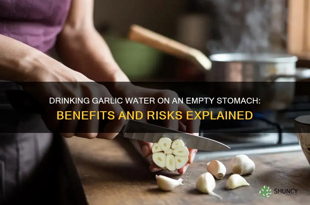 Drinking Garlic Water On An Empty Stomach: Benefits And Risks Explained ...