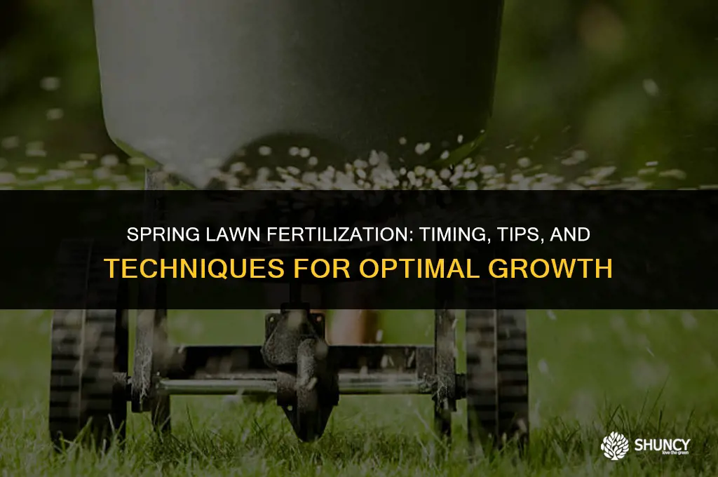 Spring Lawn Fertilization: Timing, Tips, And Techniques For Optimal ...