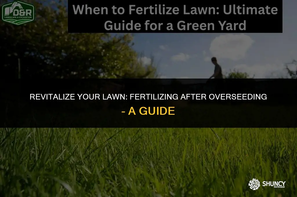 Revitalize Your Lawn: Fertilizing After Overseeding - A Guide | ShunCy