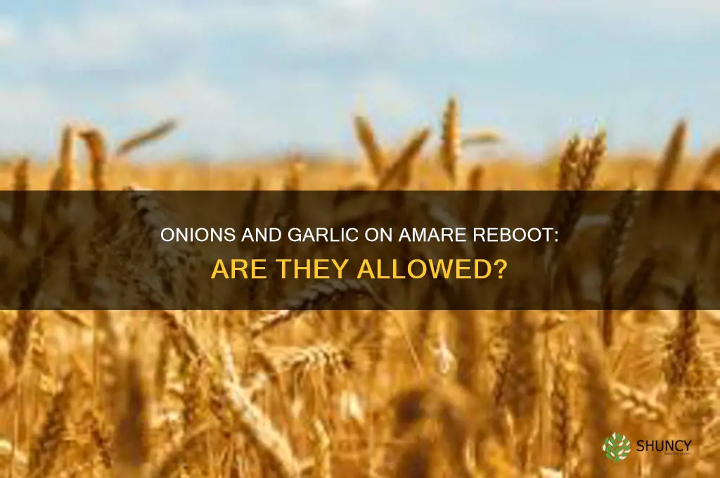 Onions And Garlic On Amare Reboot: Are They Allowed? | ShunCy