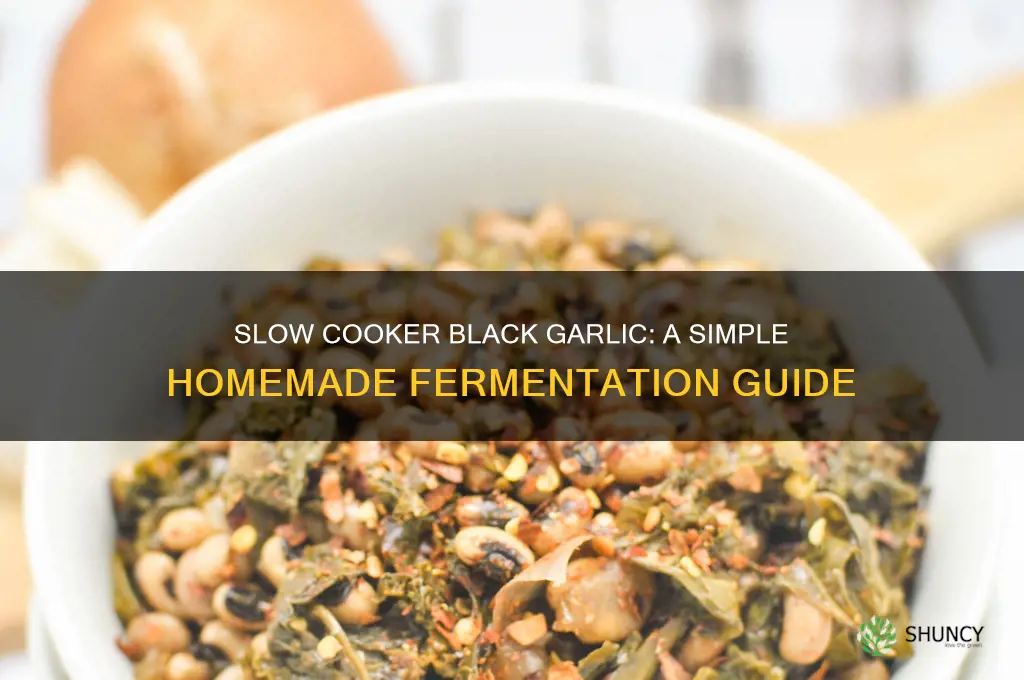 Slow Cooker Black Garlic: A Simple Homemade Fermentation Guide | ShunCy