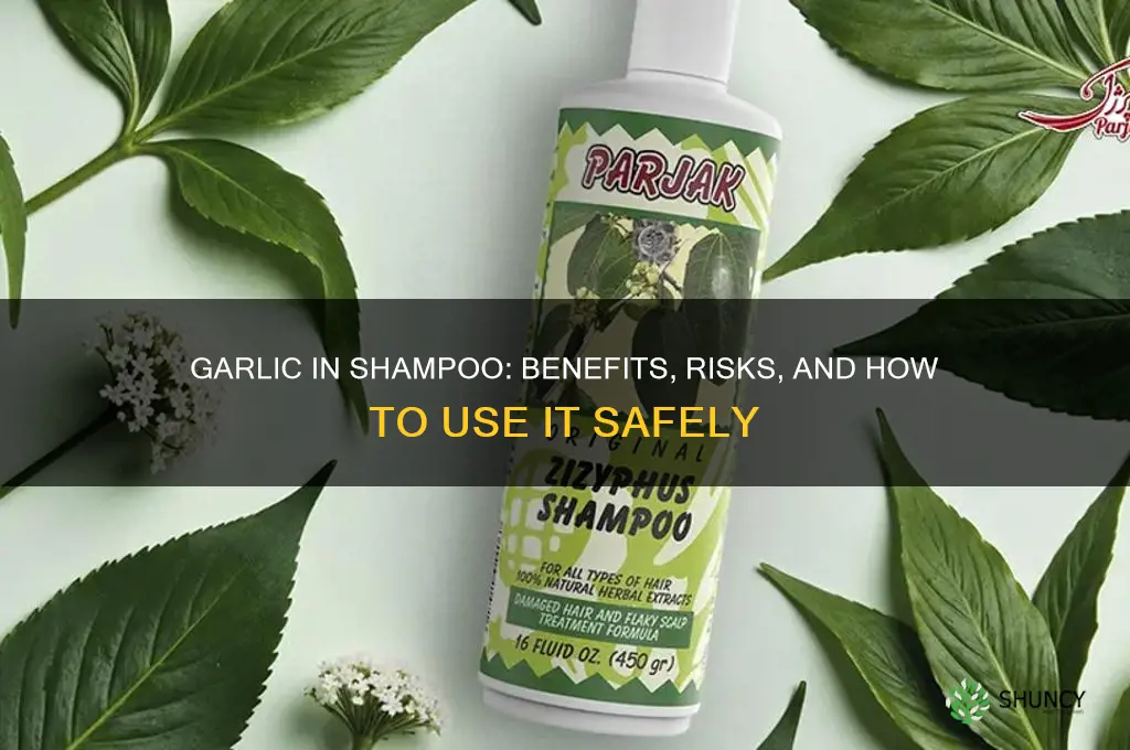 Garlic In Shampoo: Benefits, Risks, And How To Use It Safely | ShunCy