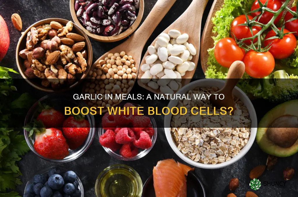 Garlic In Meals: A Natural Way To Boost White Blood Cells? | ShunCy