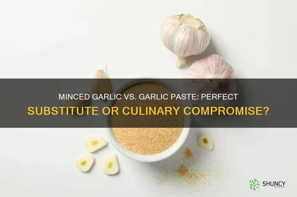 Minced Garlic Vs. Garlic Paste: Perfect Substitute Or Culinary ...