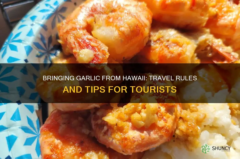 Bringing Garlic From Hawaii: Travel Rules And Tips For Tourists | ShunCy
