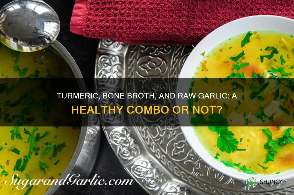 Turmeric, Bone Broth, And Raw Garlic: A Healthy Combo Or Not? | ShunCy