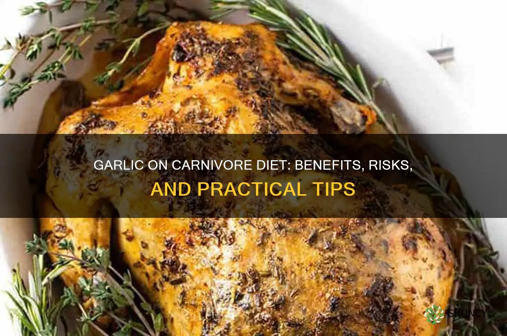 Garlic On Carnivore Diet: Benefits, Risks, And Practical Tips | ShunCy