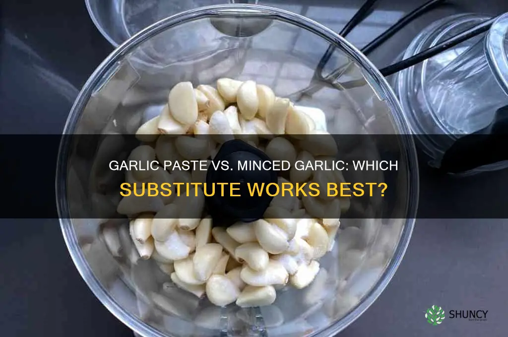 Garlic Paste Vs. Minced Garlic: Which Substitute Works Best? | ShunCy