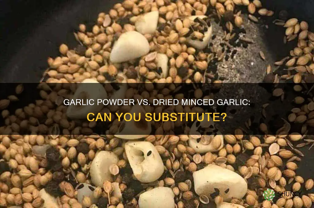 Garlic Powder Vs. Dried Minced Garlic: Can You Substitute? | ShunCy