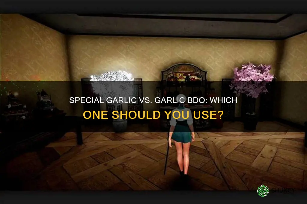 Special Garlic Vs. Garlic Bdo: Which One Should You Use? | ShunCy